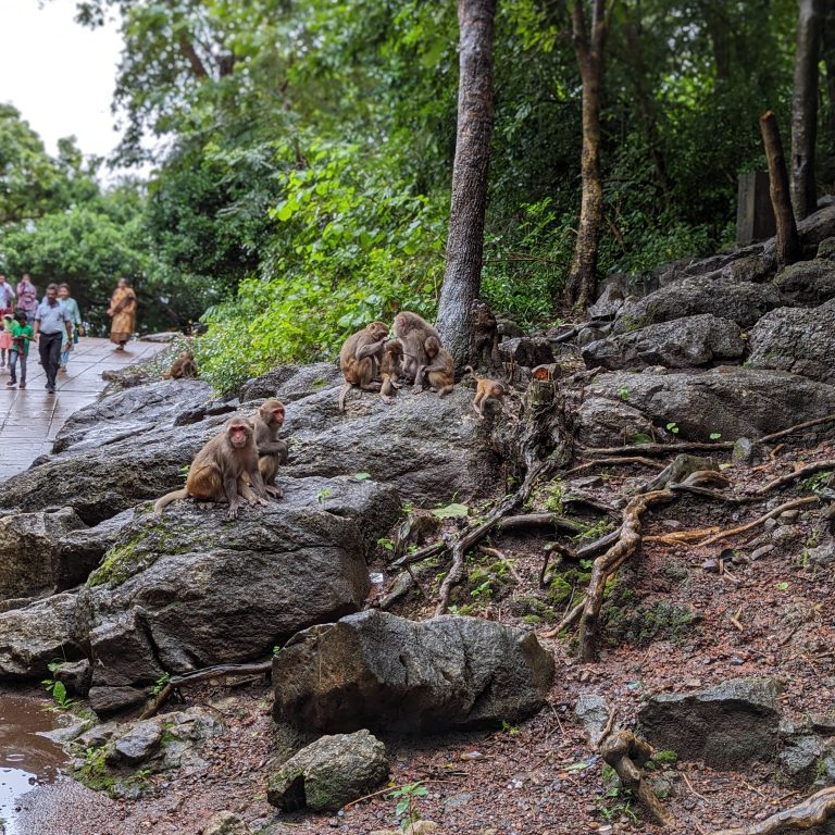 Bora Caves, Andhra Pradesh – Joy of Traveling